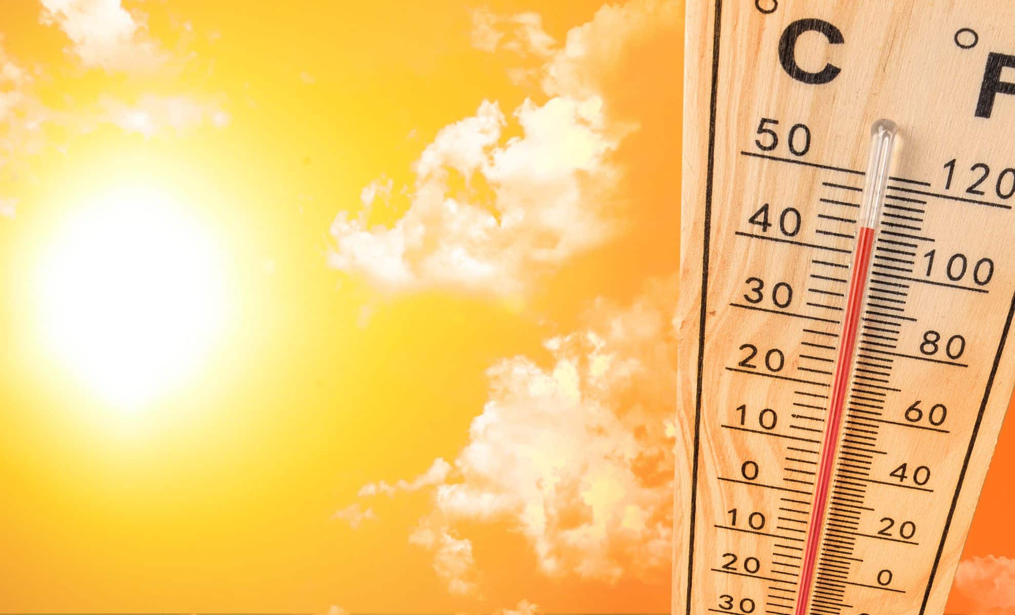 Prévisions Météo - Actualités et Alertes en Algérie