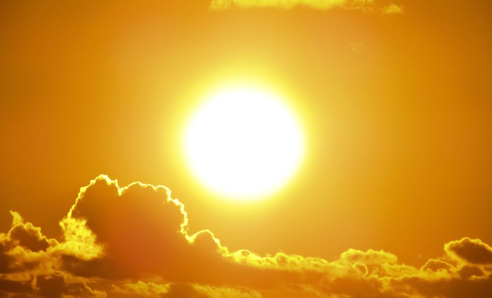 Météo Belgique : un record de chaleur historique le 1er juillet, jamais ...