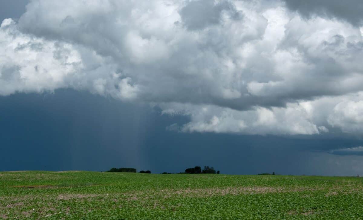Météo : grisaille, averses, fraîcheur... La Belgique fait face à un ...