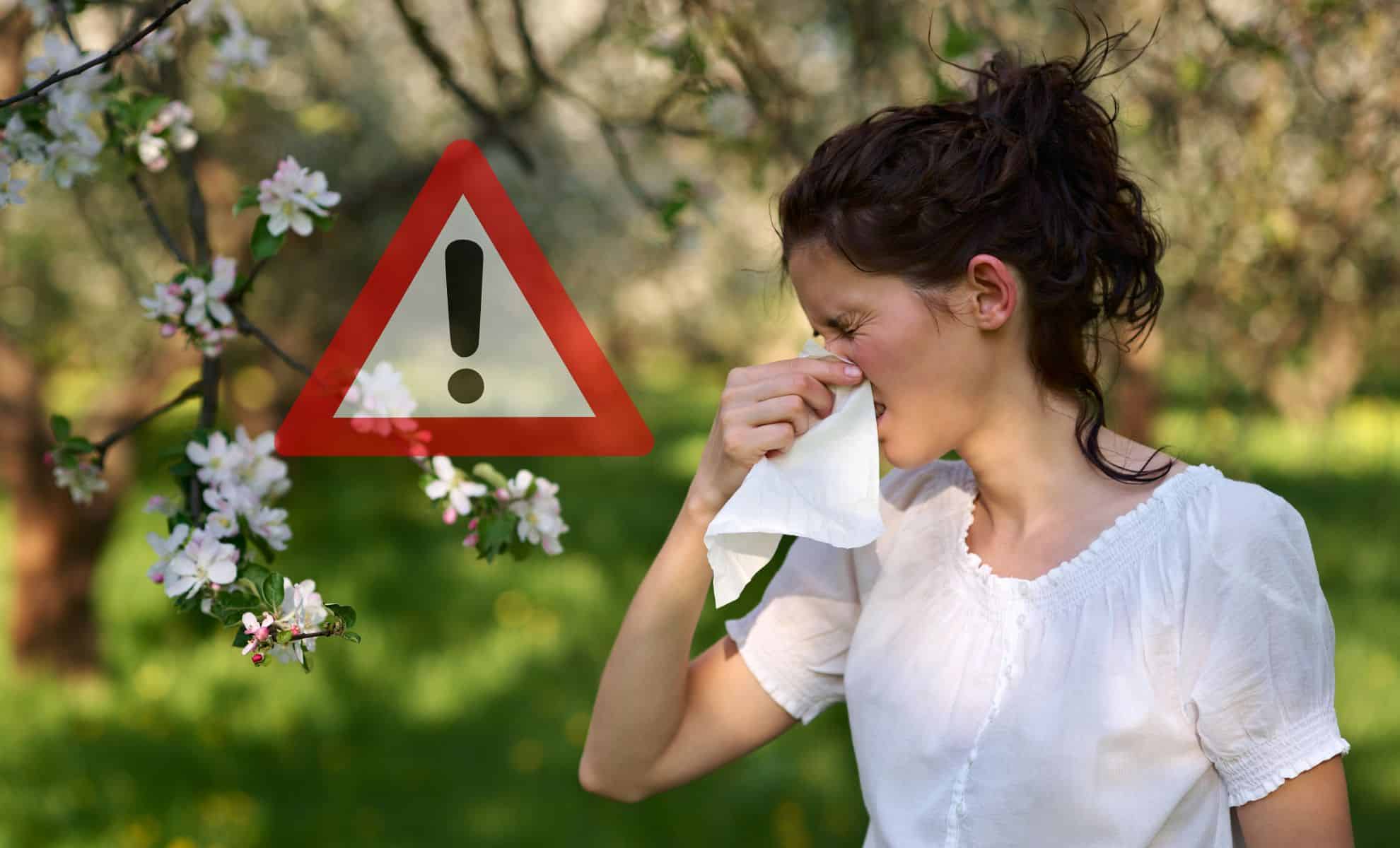 Allergies au pollen : le RNSA déclenche l'alerte rouge dans ces 42 ...
