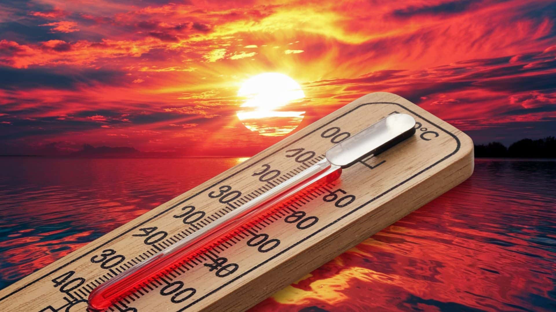 Une année de tous les records : 2024, la plus chaude depuis le début des relevés météorologiques