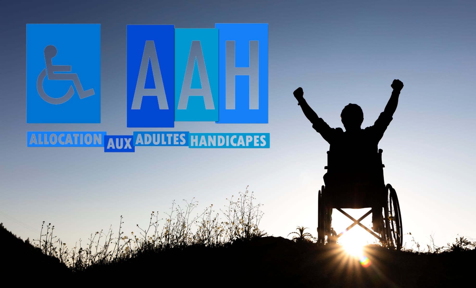 CAF : peut-on accéder à l'allocation aux adultes handicapés (AAH ...