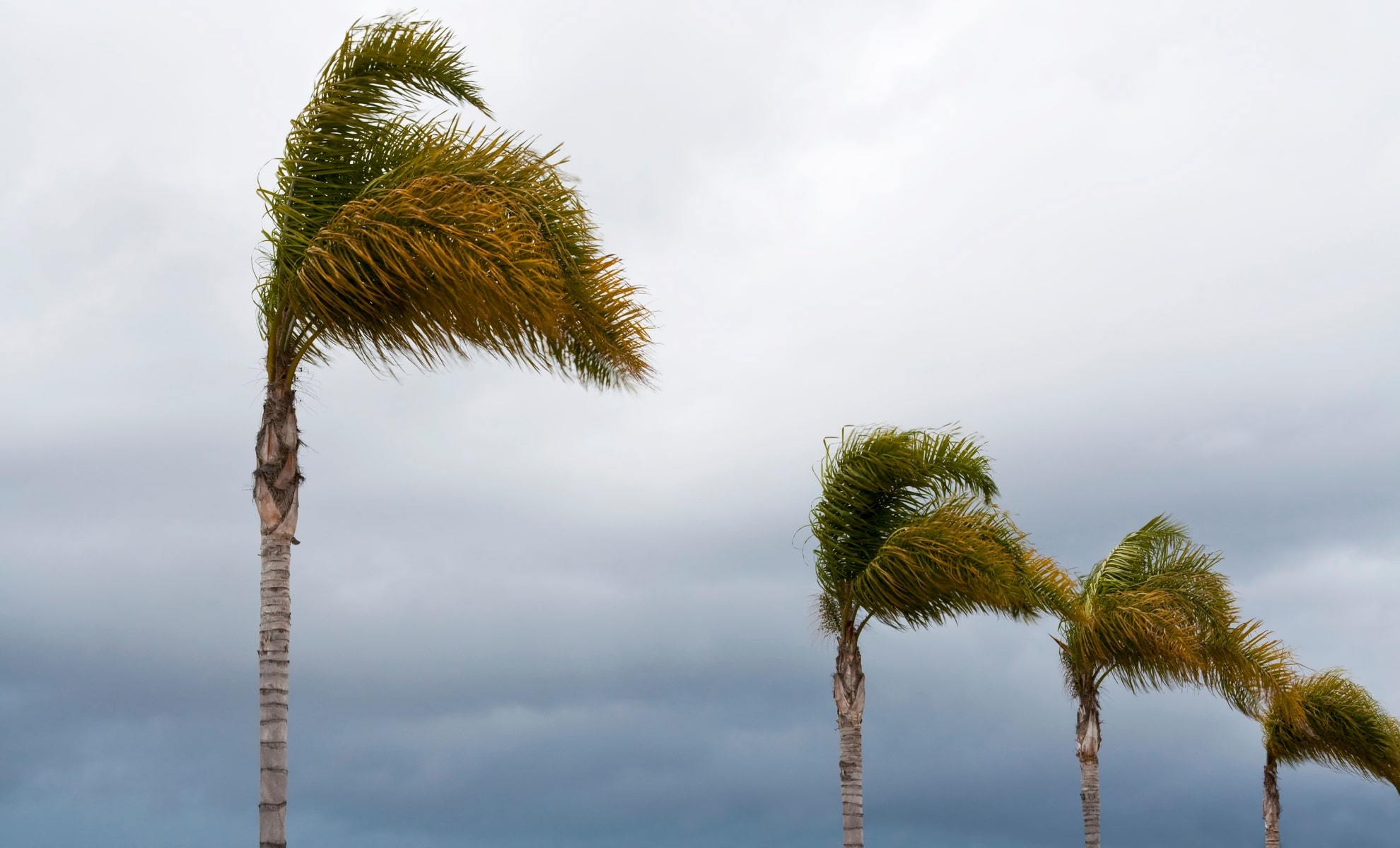 Météo : le vent souffle fort ce mercredi, voici les régions en alerte