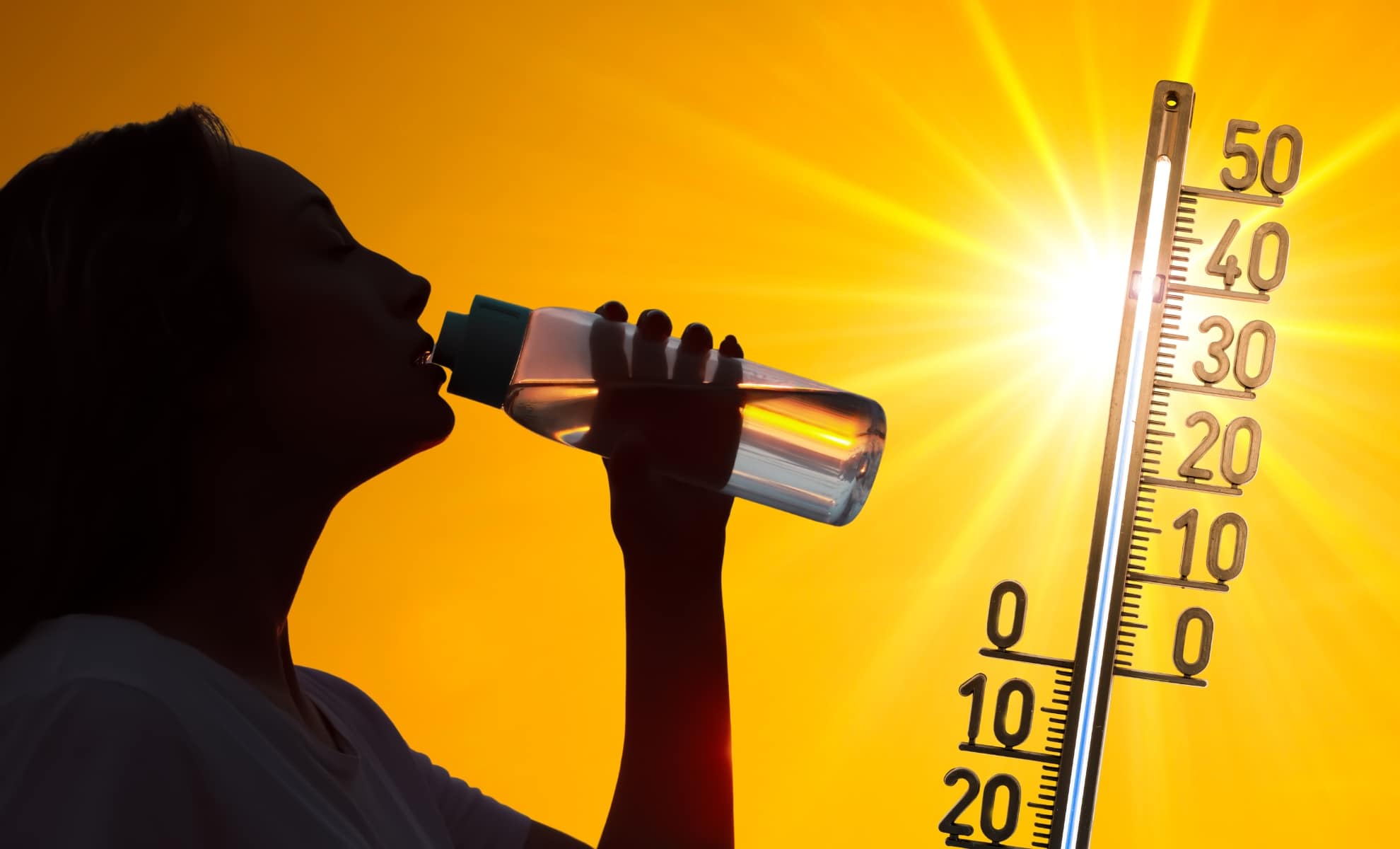 Canicule en France : l'annulation des épreuves du Bac pro et la ...