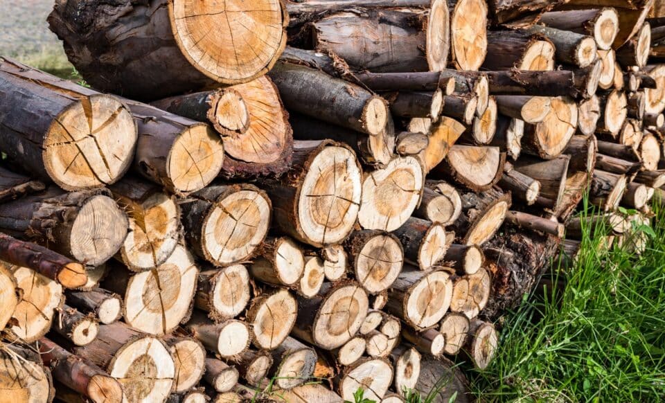 Hausse du prix du stère de bois de chauffage : voici les tarifs selon ...