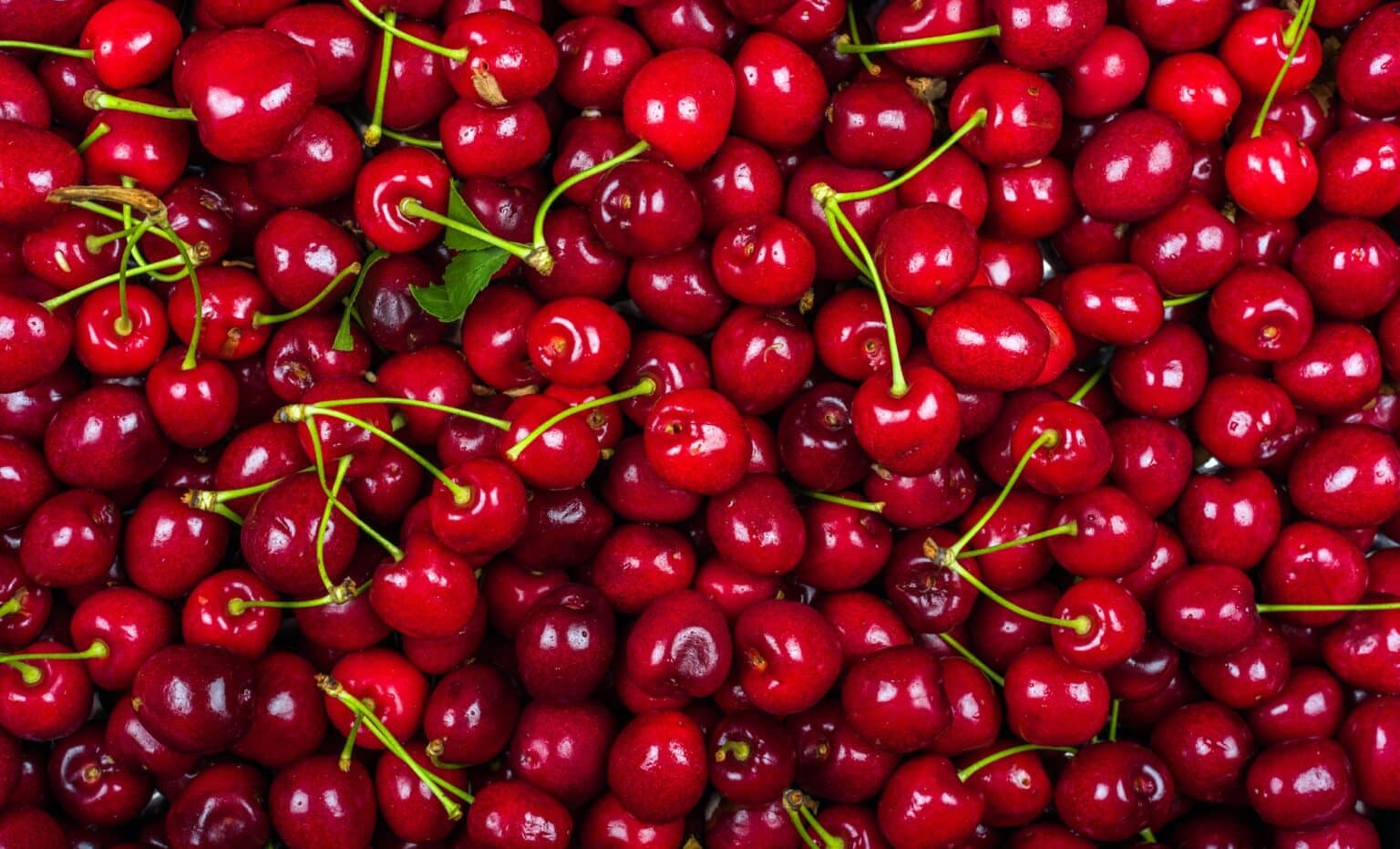 Cerises : récolte record en France, les producteurs appellent à ...